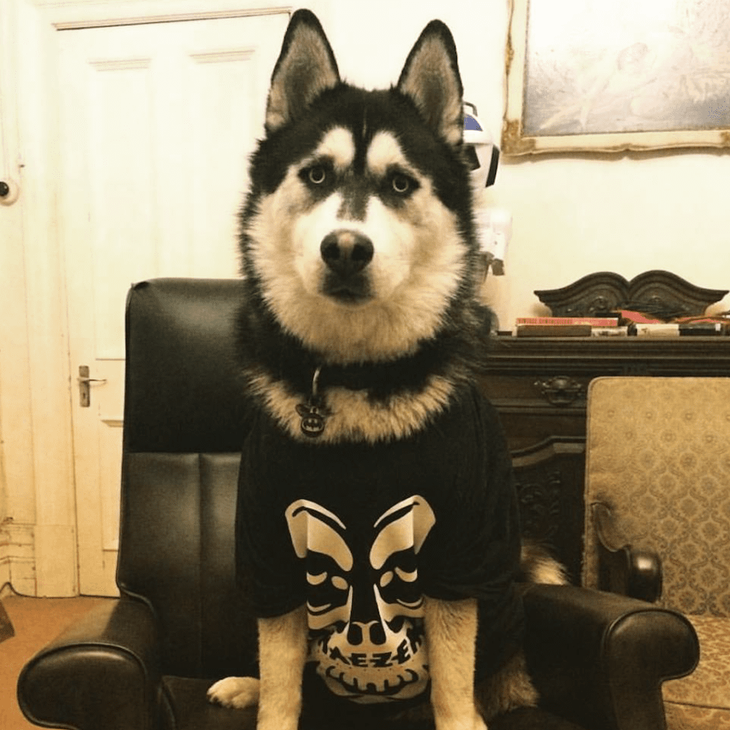 Endless Road Stories - FARMHOUSE